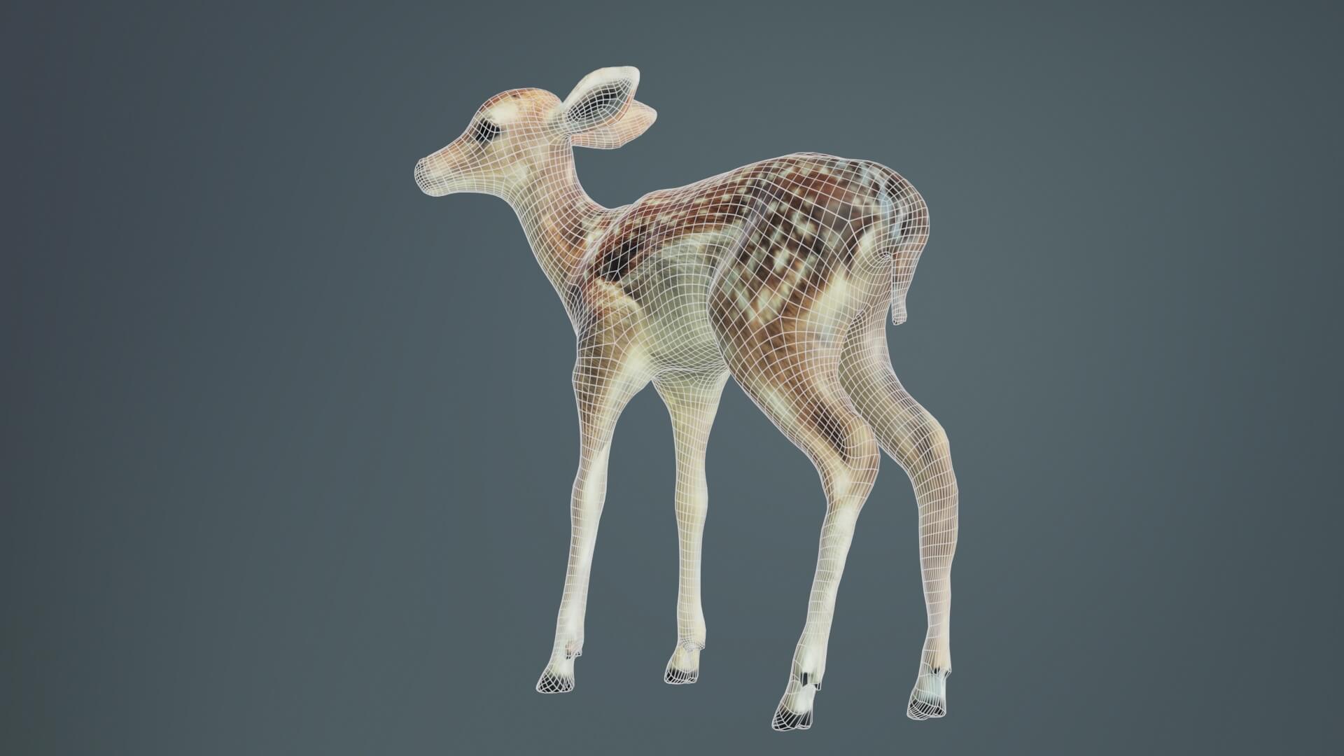 Fawn Spotted Young Deer - 3D Model by Polygonal Miniatures