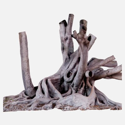 Fig Tree Trunk - 3D Model by Polygonal Miniatures