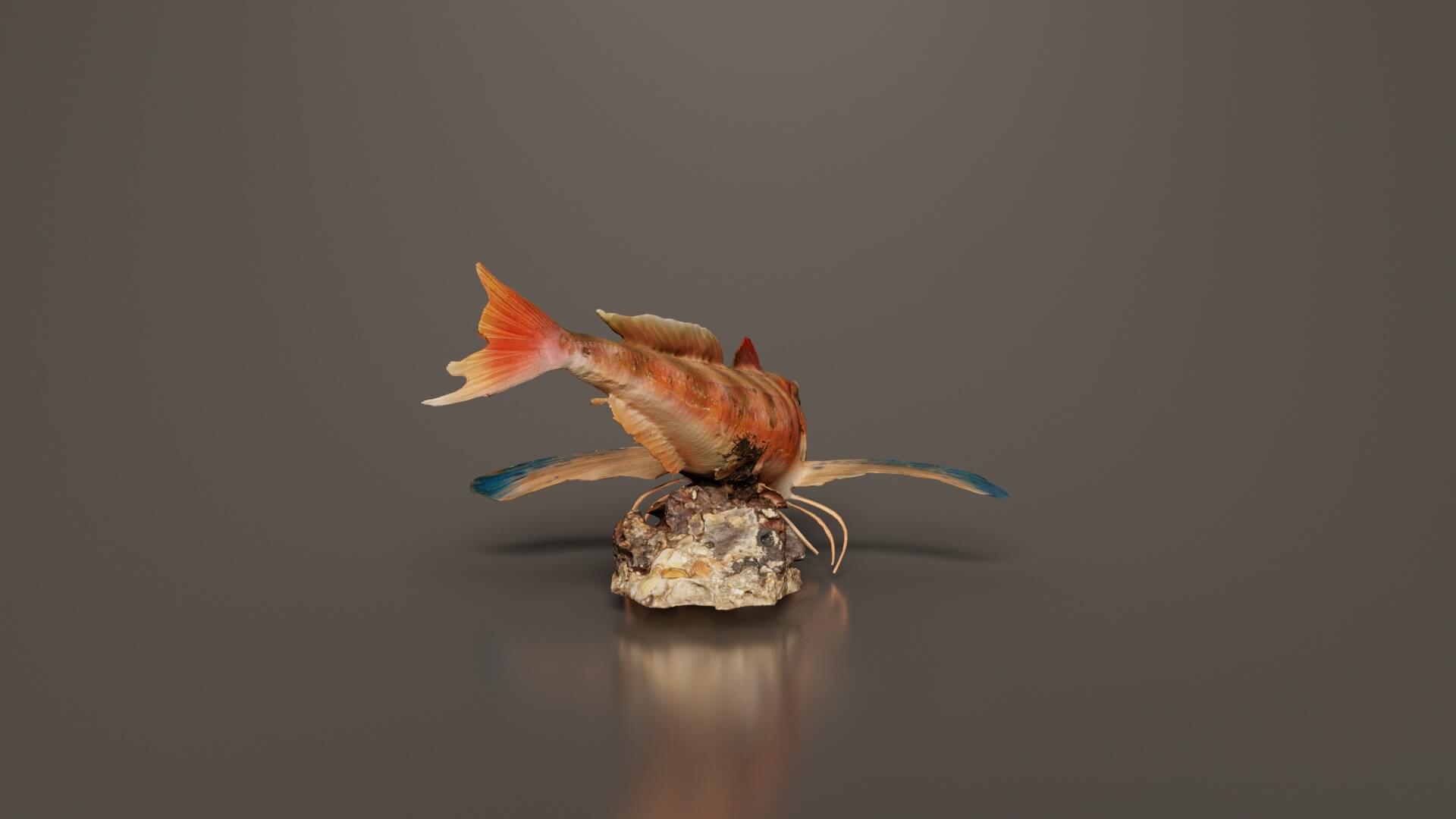 Pisces Type Fish - 3D Model by Polygonal Miniatures