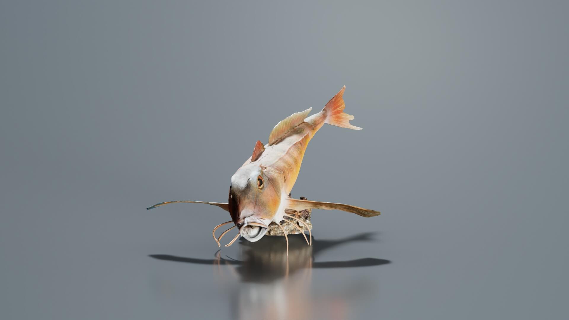 Pisces Type Fish - 3D Model by Polygonal Miniatures