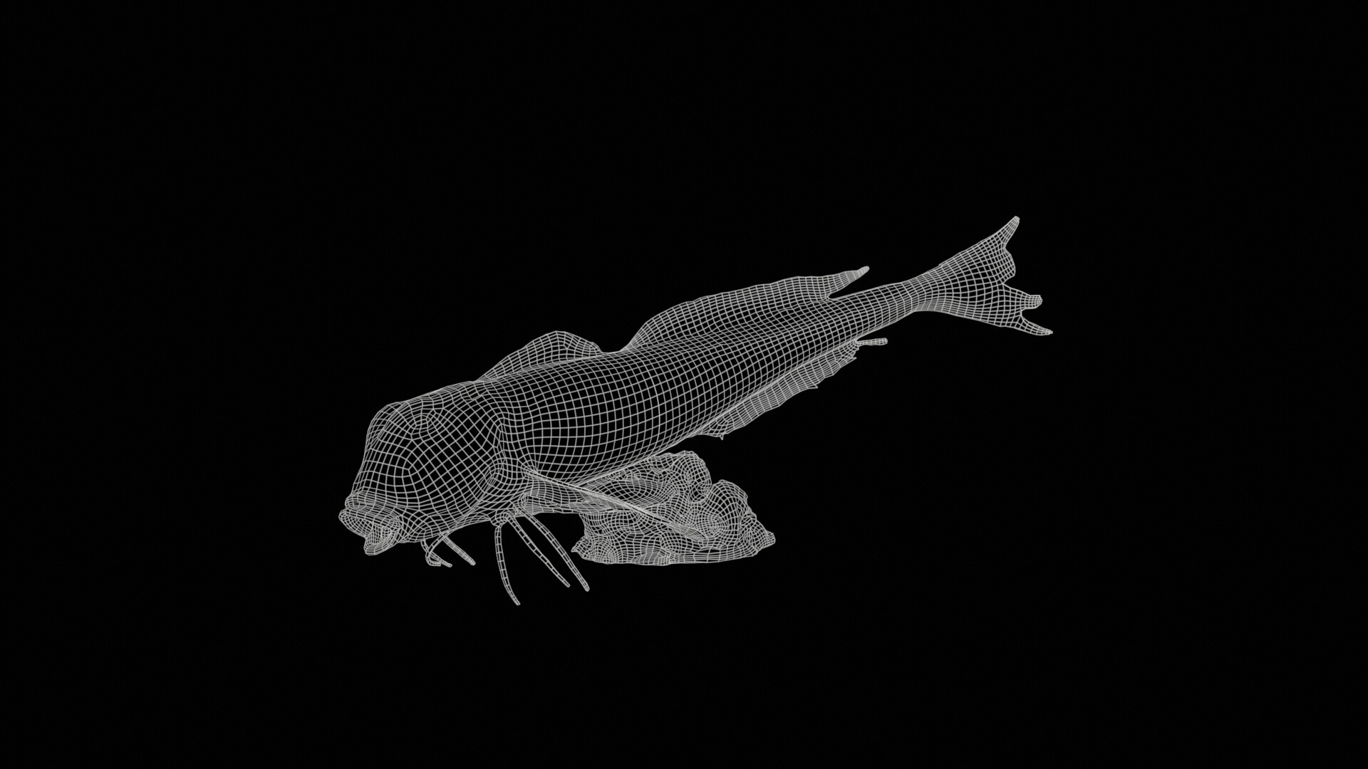 Pisces Type Fish - 3D Model by Polygonal Miniatures