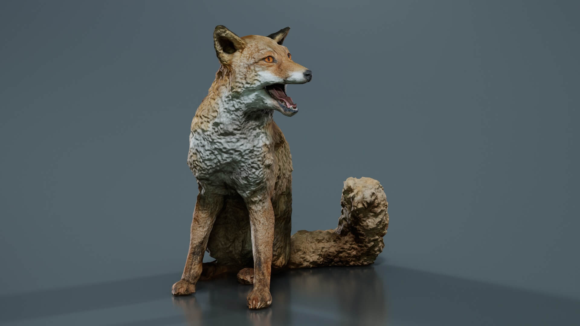 Fox Vulpes Vulpes - 3D Model by Polygonal Miniatures