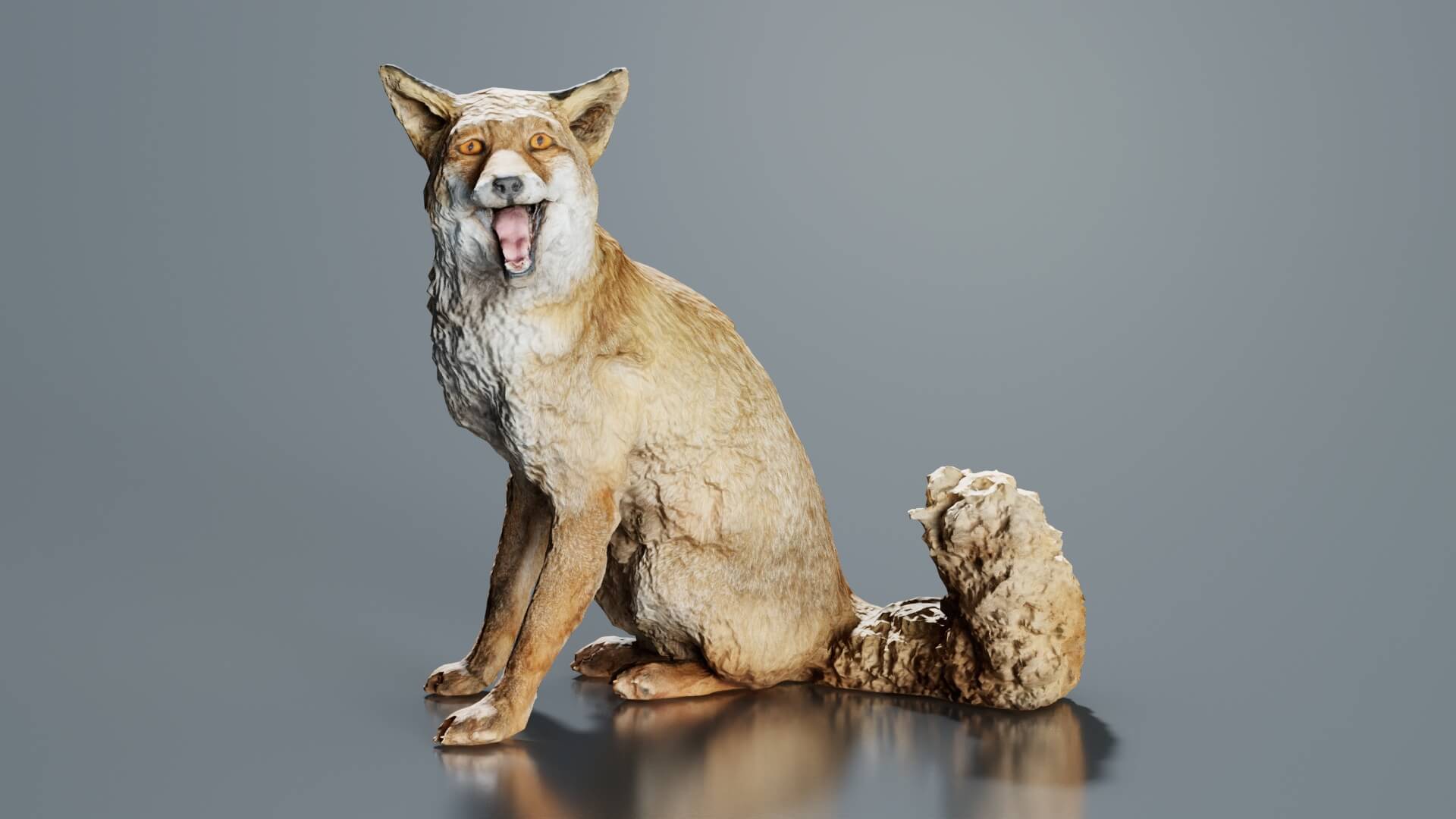 Fox Vulpes Vulpes - 3D Model by Polygonal Miniatures