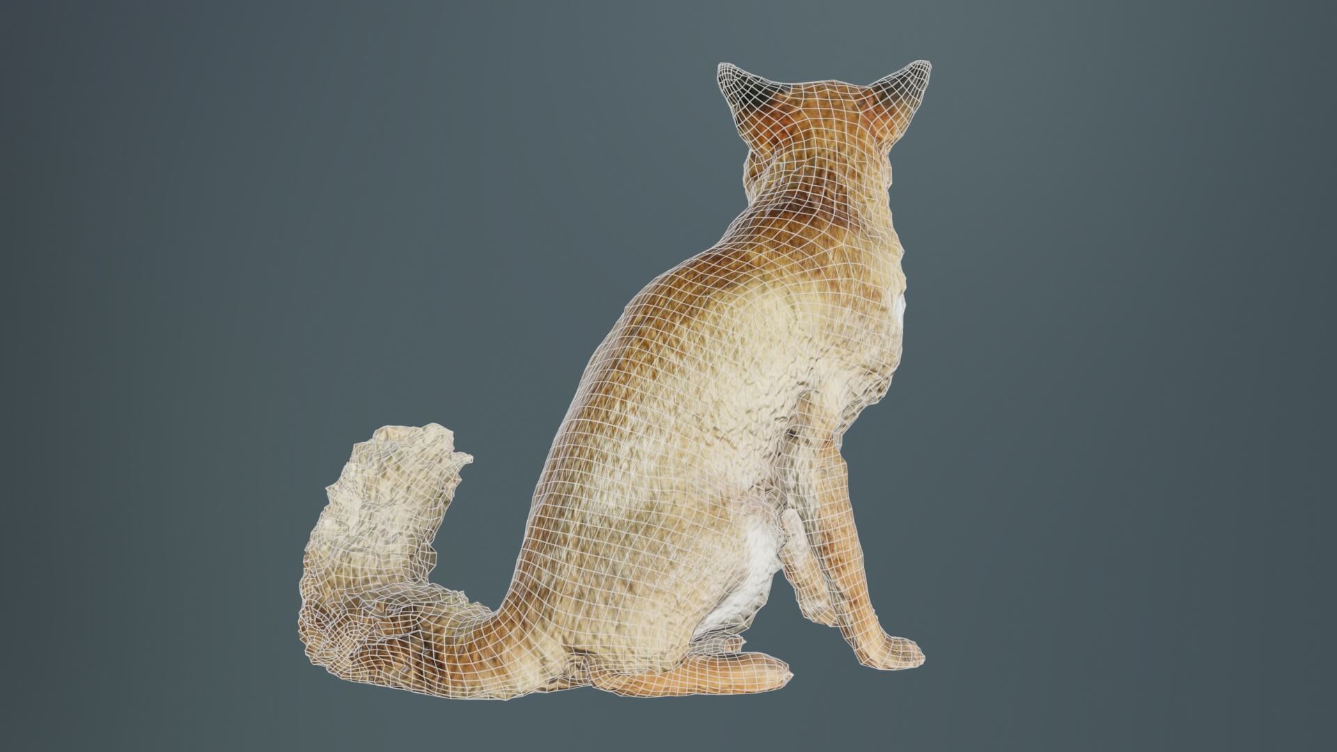 Fox Vulpes Vulpes - 3D Model by Polygonal Miniatures