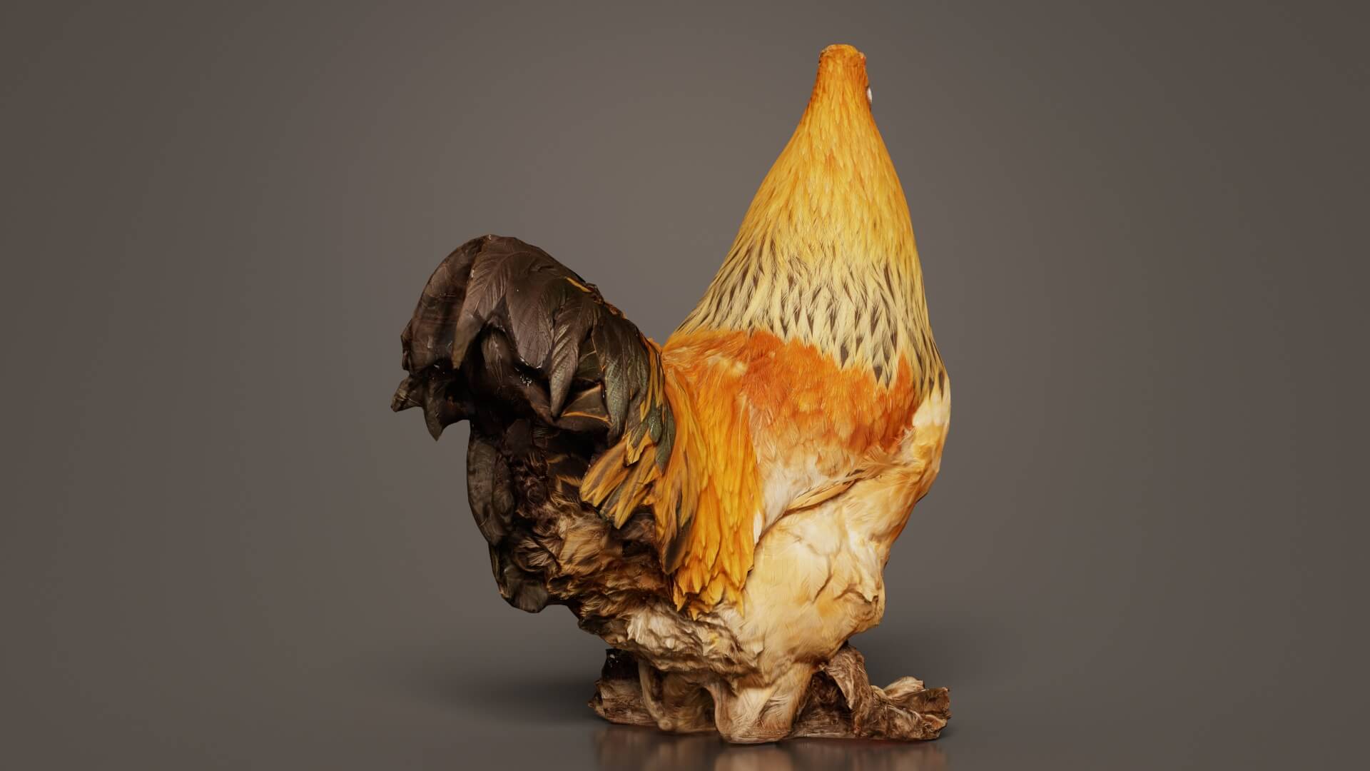 Gallus Domesticus Rooster - 3D Model by Polygonal Miniatures