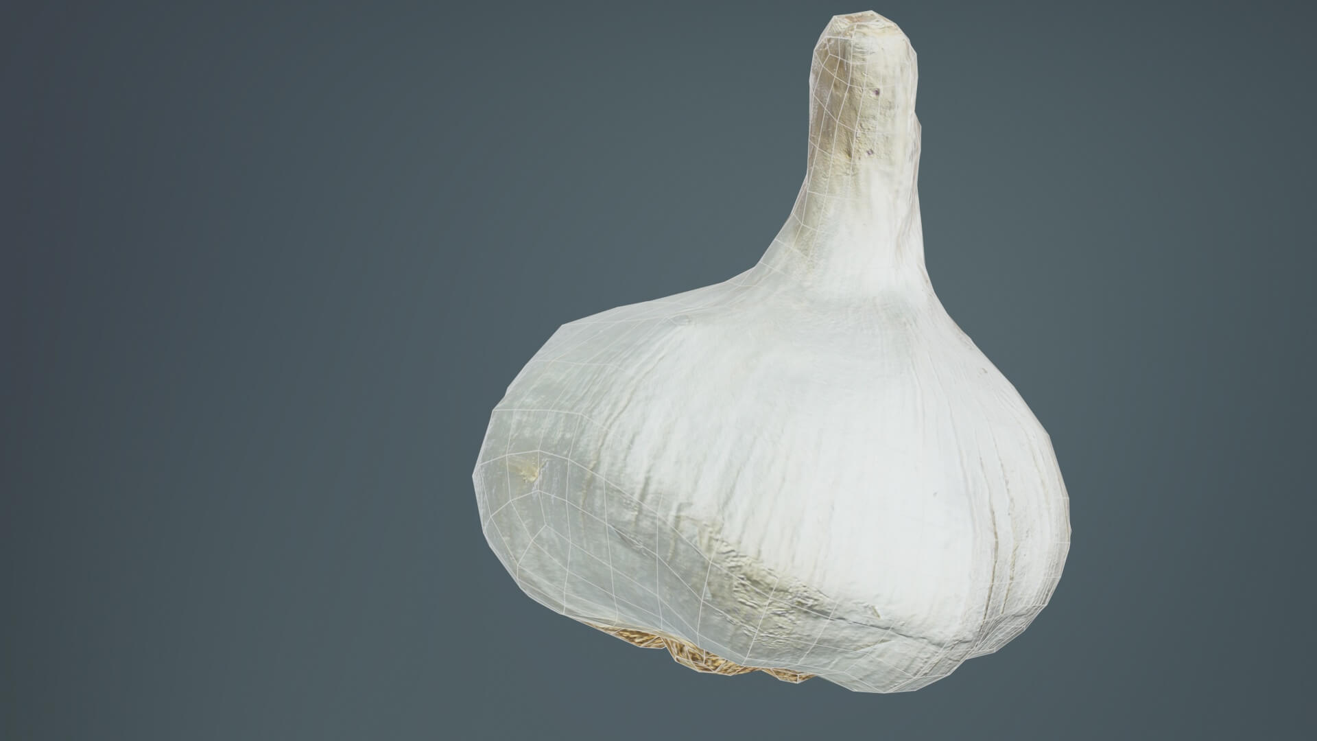 Garlic - 3D Model by Polygonal Miniatures