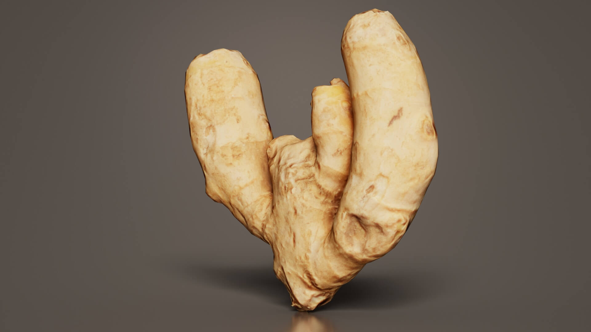 Ginger - 3D Model by Polygonal Miniatures