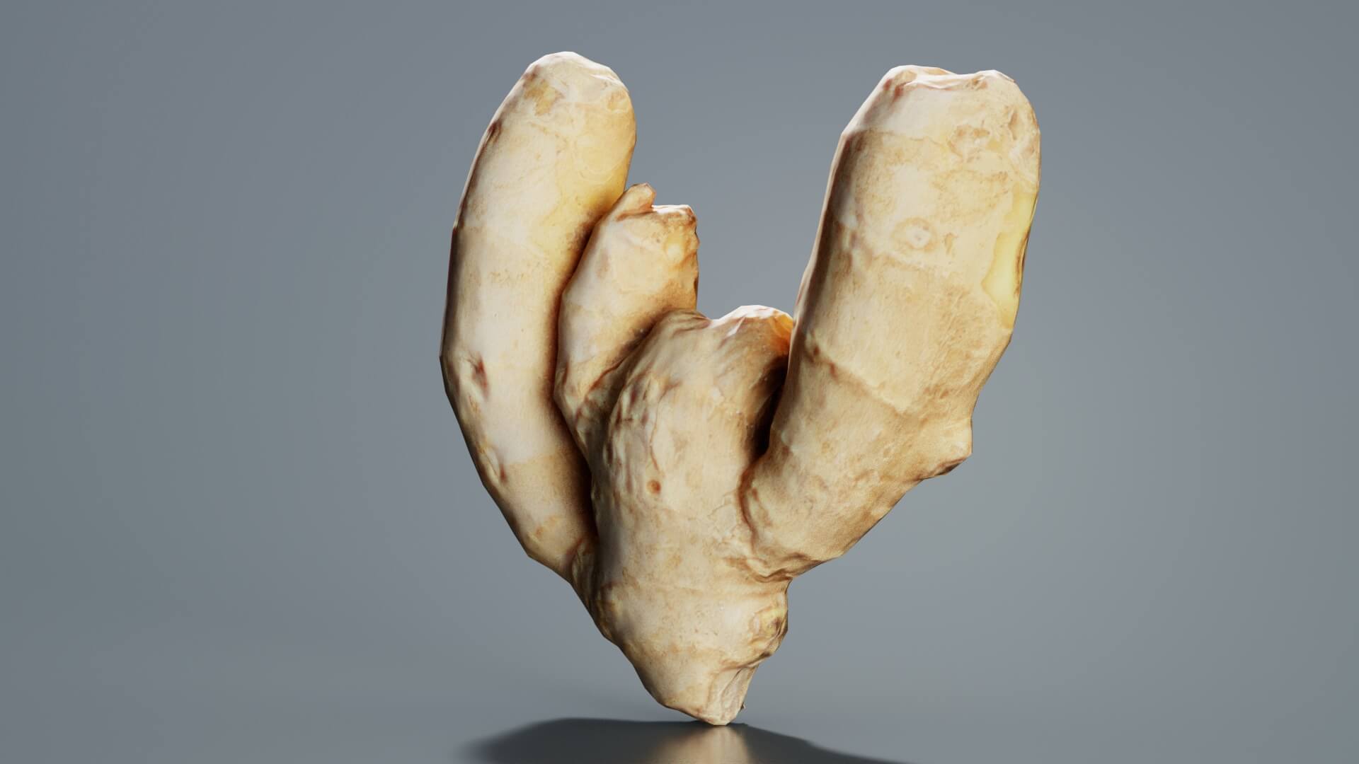 Ginger - 3D Model by Polygonal Miniatures