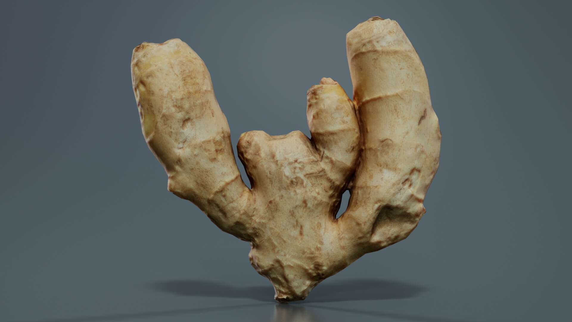 Ginger - 3D Model by Polygonal Miniatures