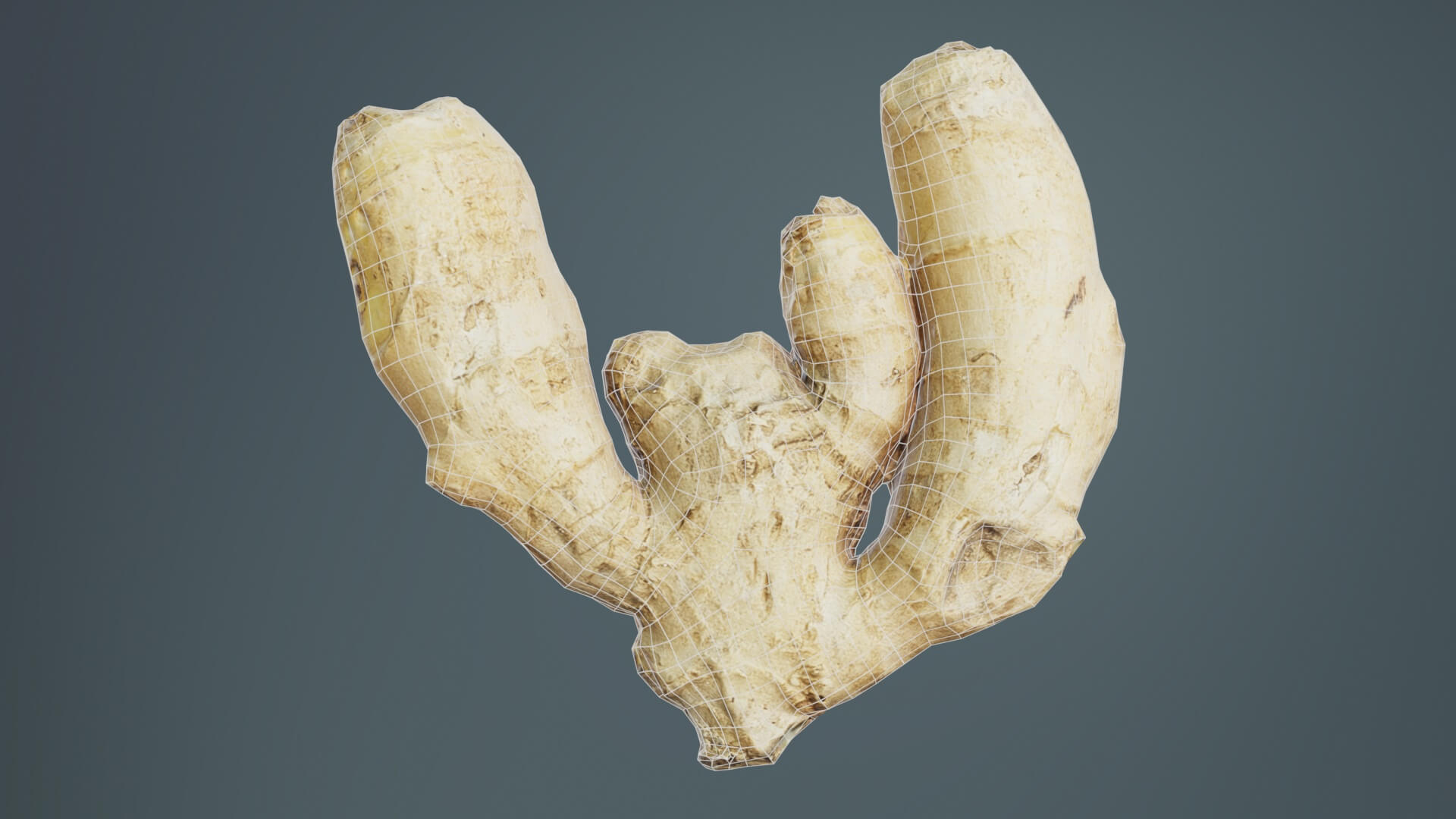 Ginger - 3D Model by Polygonal Miniatures