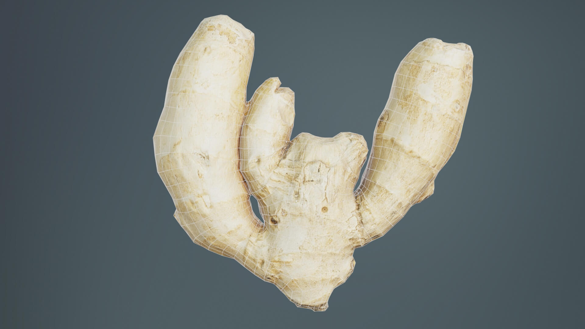 Ginger - 3D Model by Polygonal Miniatures