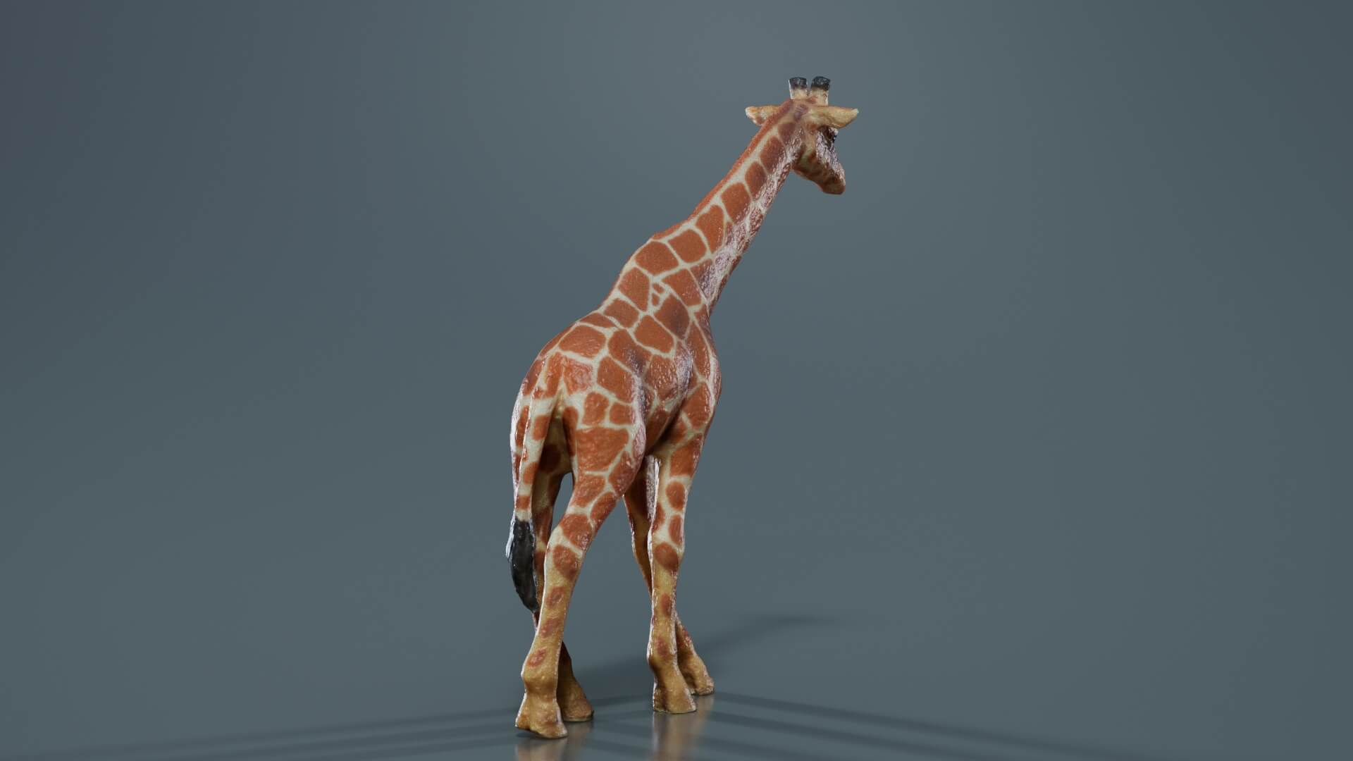 Giraffe - 3D Model by Polygonal Miniatures