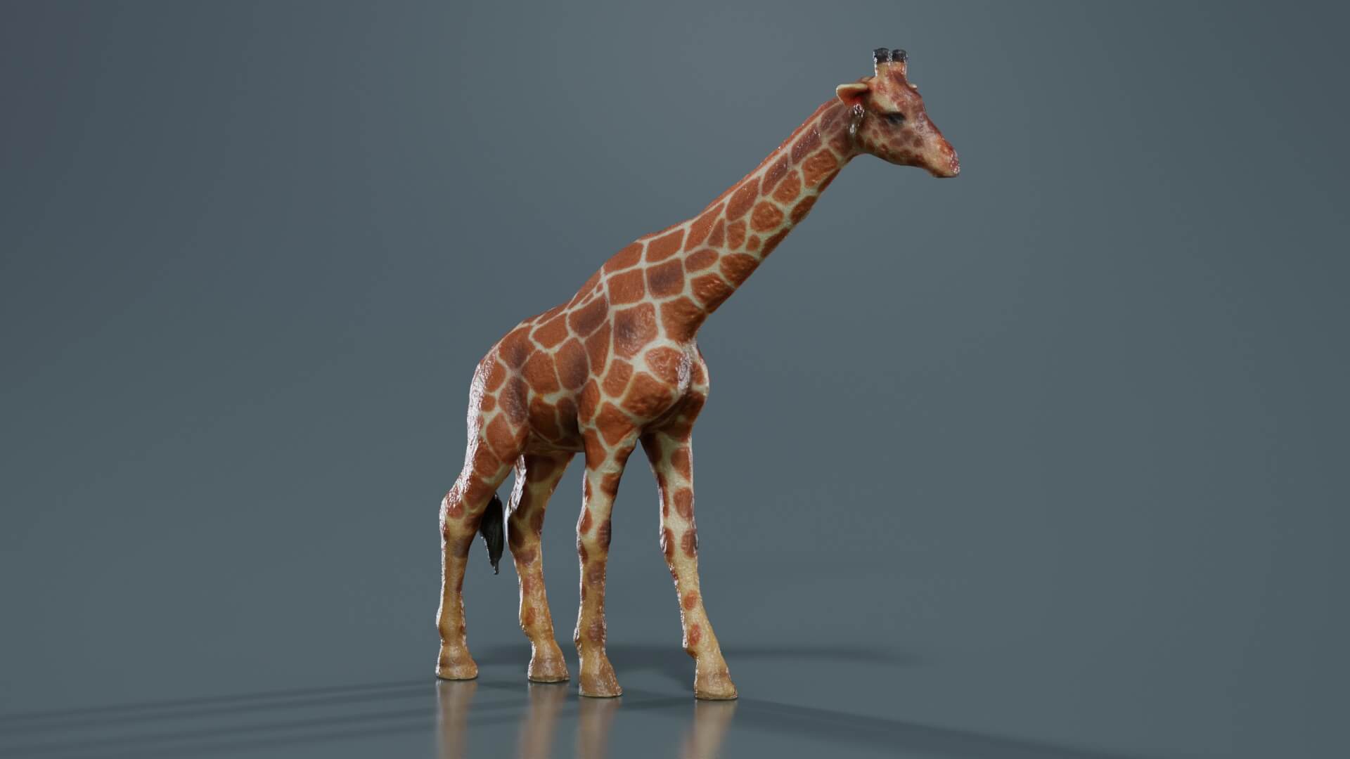 Giraffe - 3D Model by Polygonal Miniatures