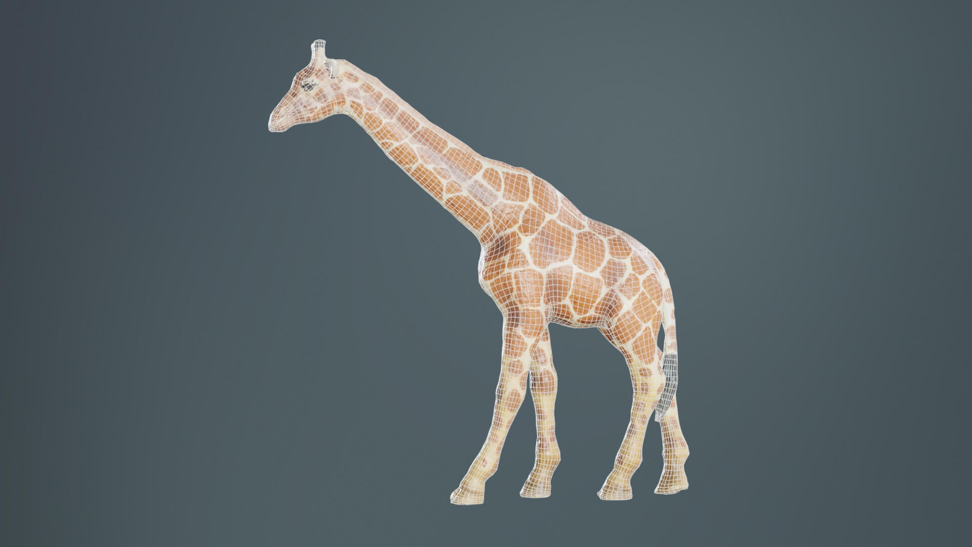 Giraffe - 3D Model by Polygonal Miniatures