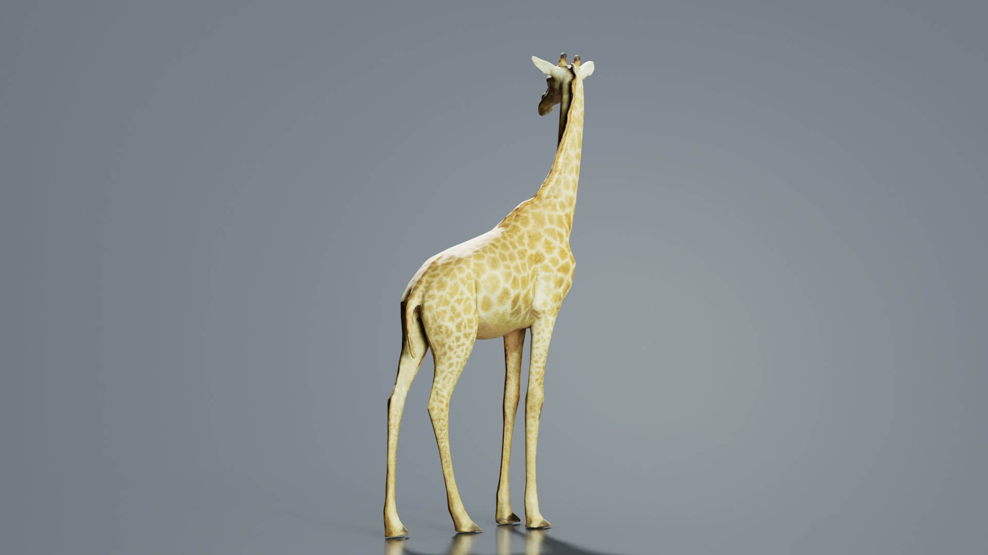 Mature Giraffe - 3D Model by Polygonal Miniatures