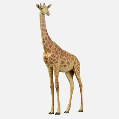 Mature Giraffe - 3D Model by Polygonal Miniatures