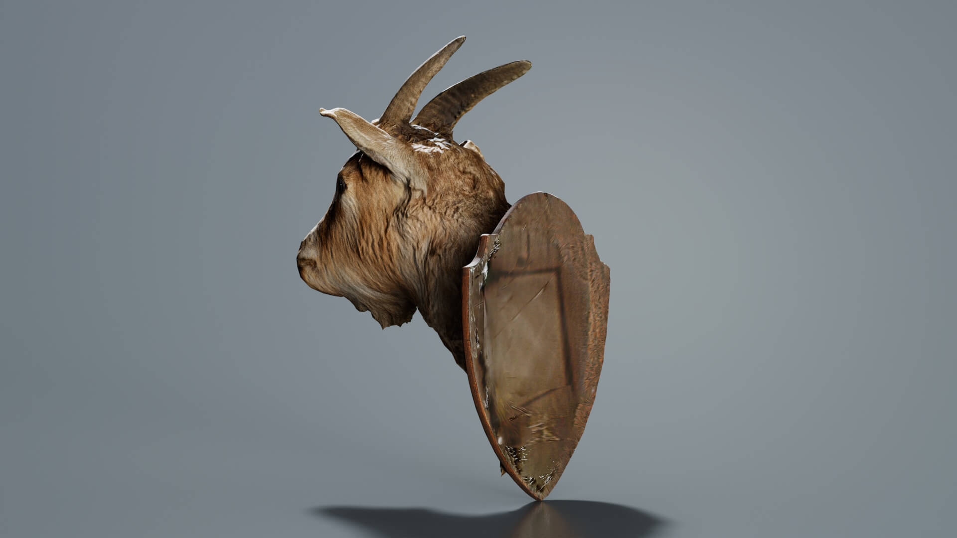 Mounted Goat Head - 3D Model by Polygonal Miniatures