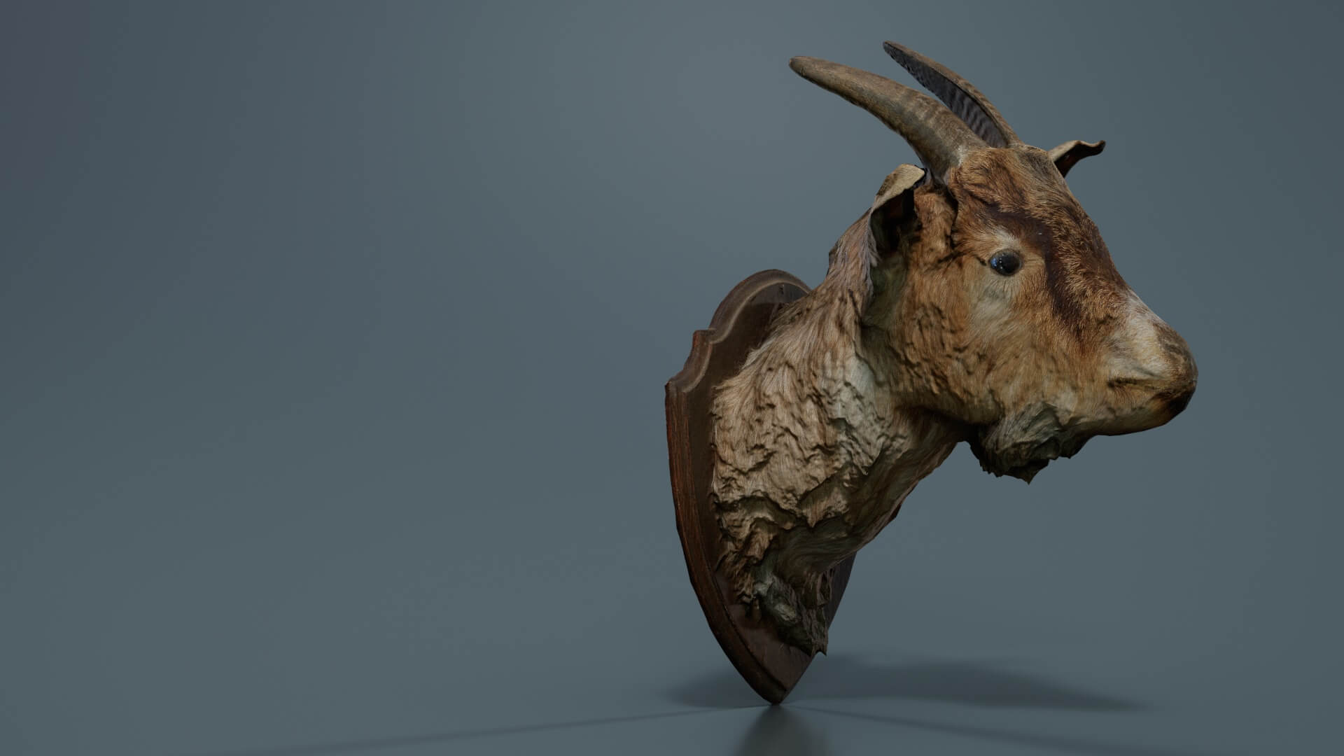Mounted Goat Head - 3D Model by Polygonal Miniatures
