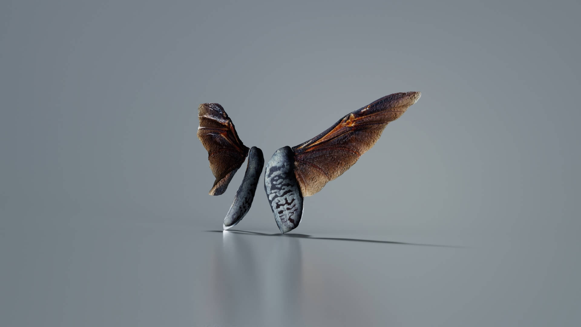 Goliath Beatle - 3D Model by Polygonal Miniatures