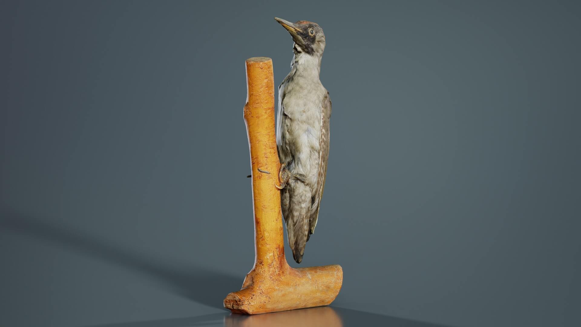 Green Woodpecker Picidae - 3D Model by Polygonal Miniatures