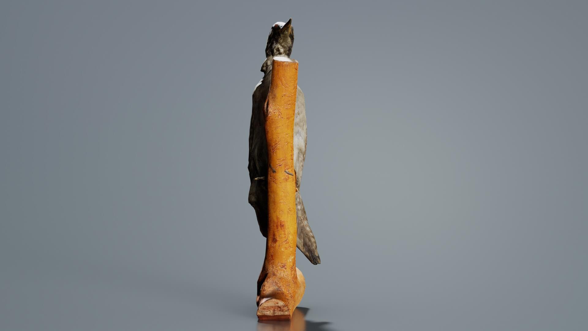 Green Woodpecker Picidae - 3D Model by Polygonal Miniatures