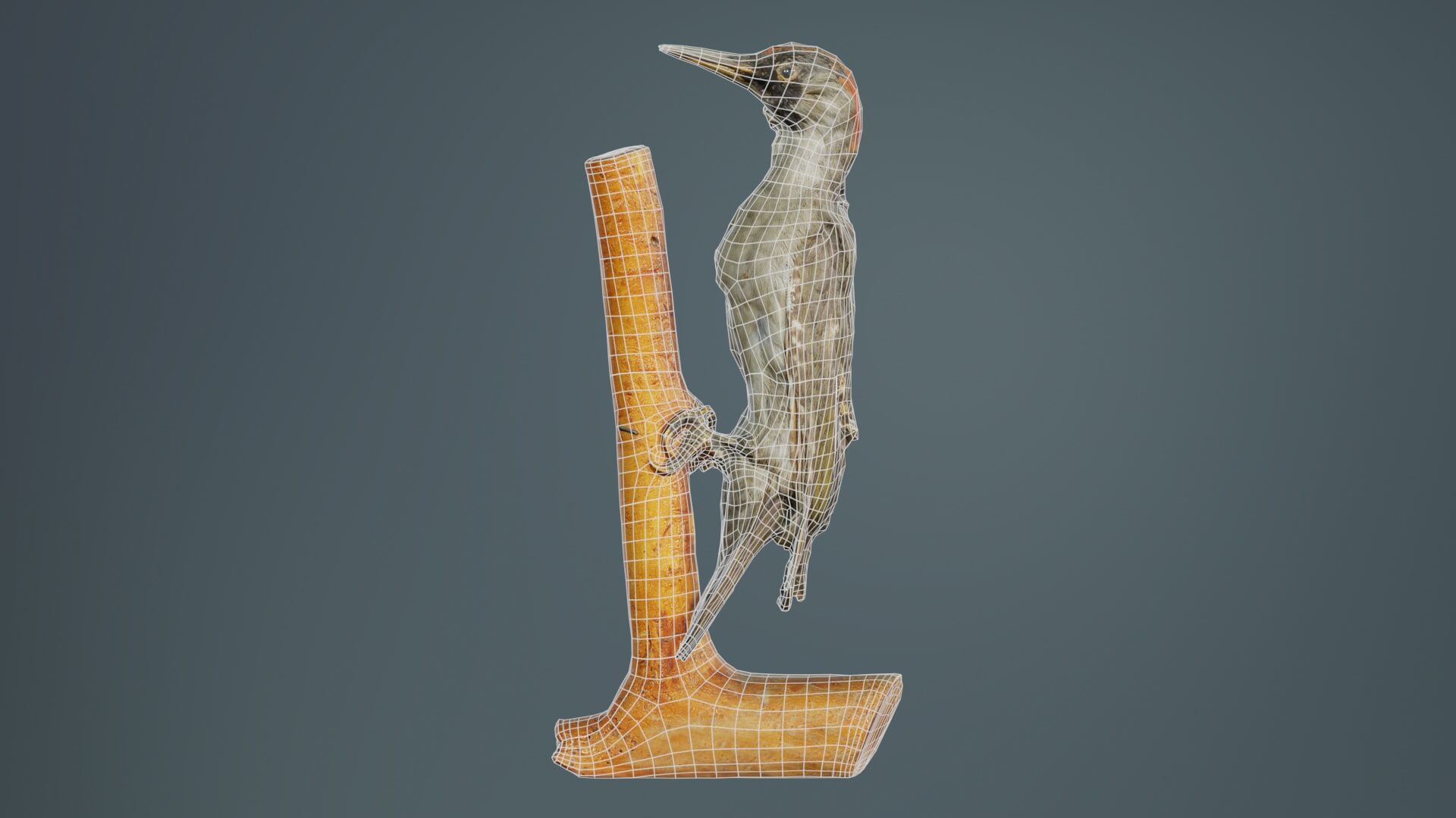 Green Woodpecker Picidae - 3D Model by Polygonal Miniatures