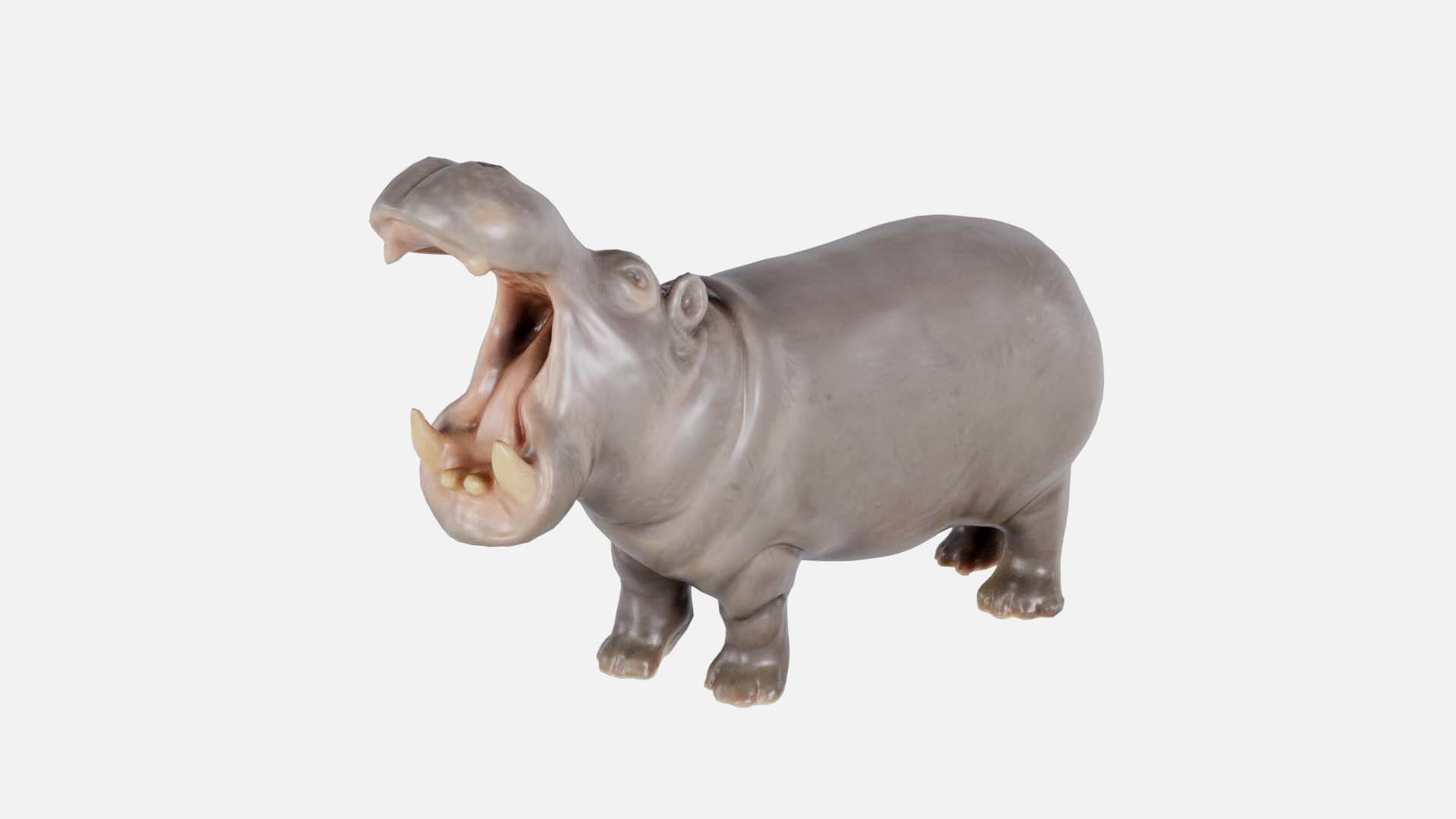 Hippo - 3D Model by Polygonal Miniatures