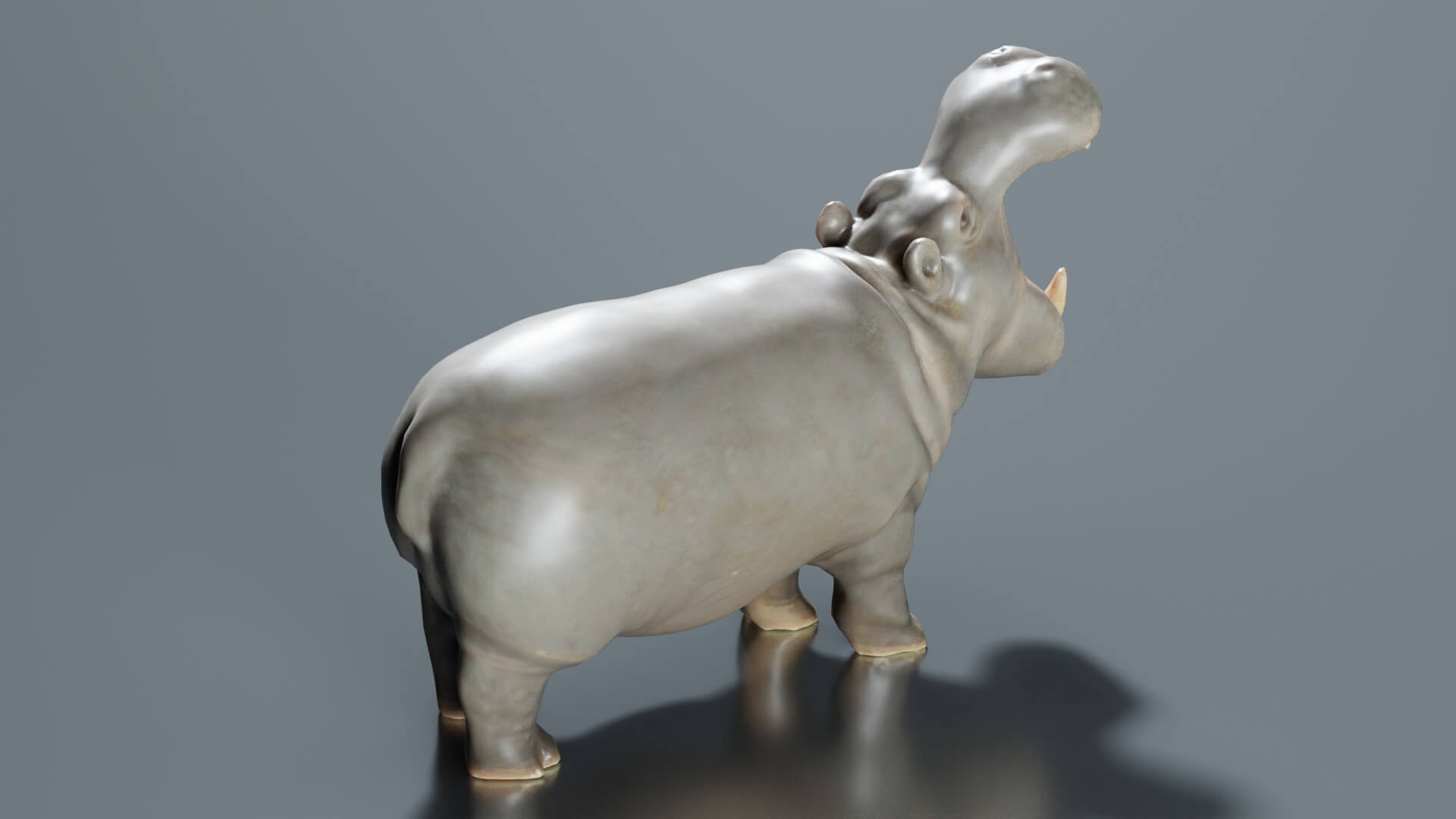 Hippo - 3D Model by Polygonal Miniatures