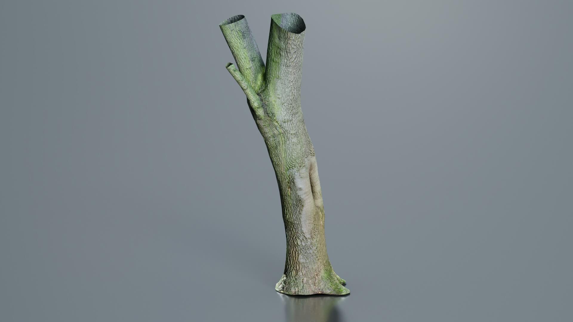 Hole Tree Trunk - 3D Model by Polygonal Miniatures