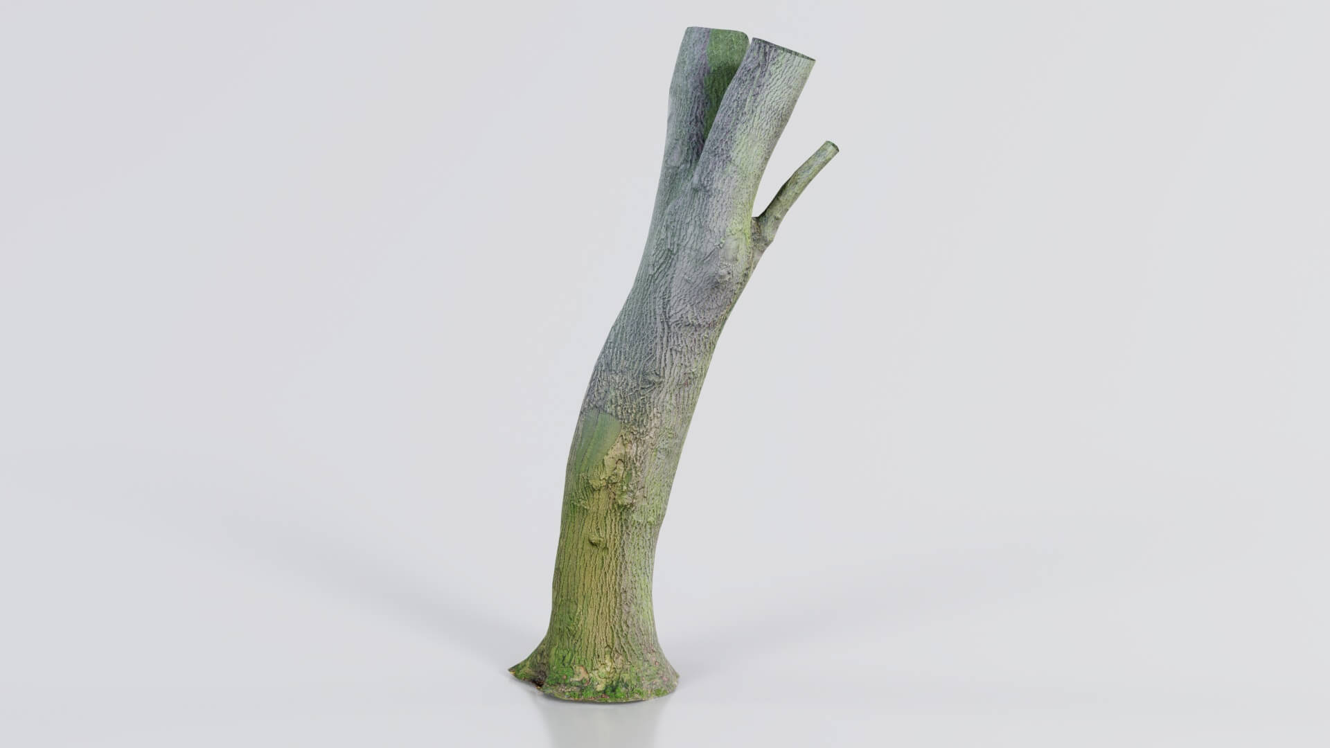 Hole Tree Trunk - 3D Model by Polygonal Miniatures