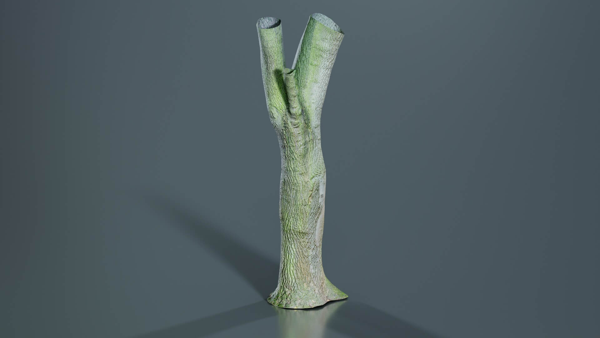 Hole Tree Trunk - 3D Model by Polygonal Miniatures