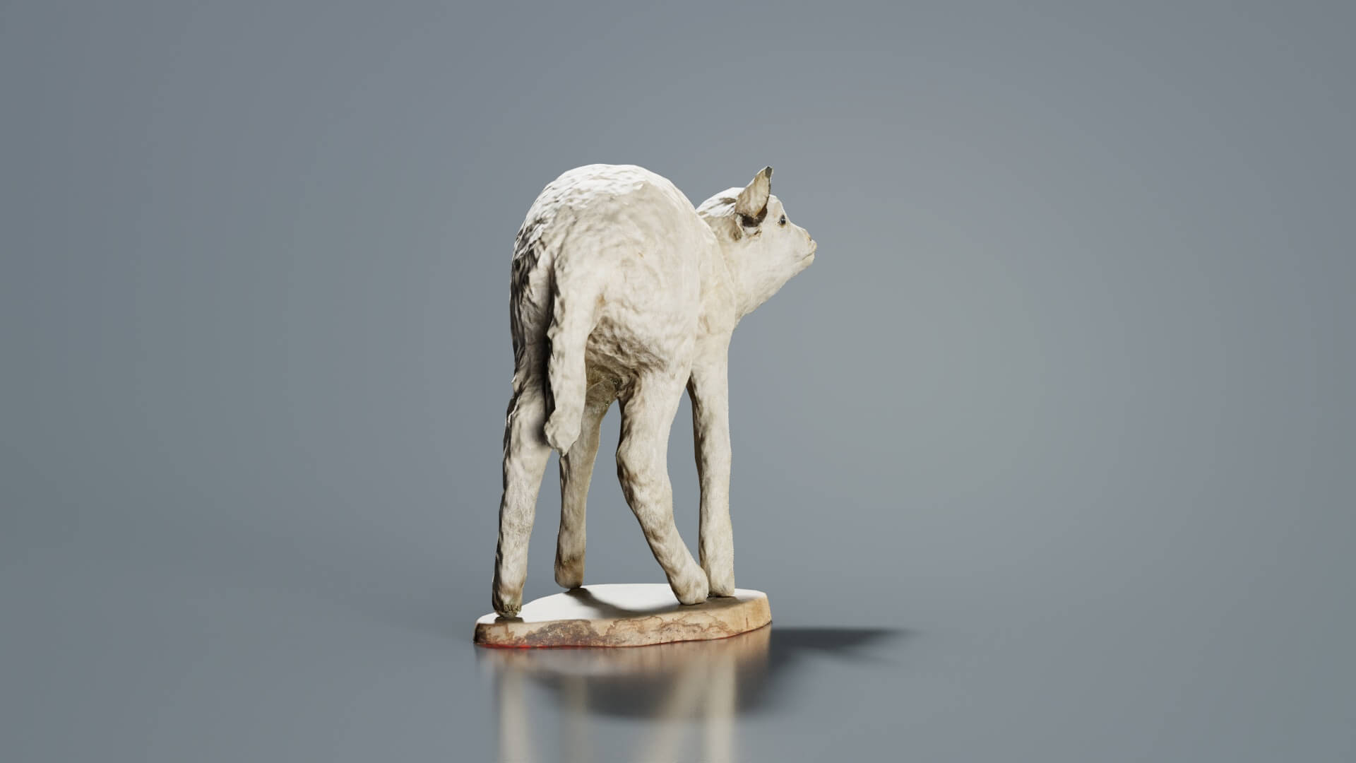 Baby Lamb Mutton - 3D Model by Polygonal Miniatures