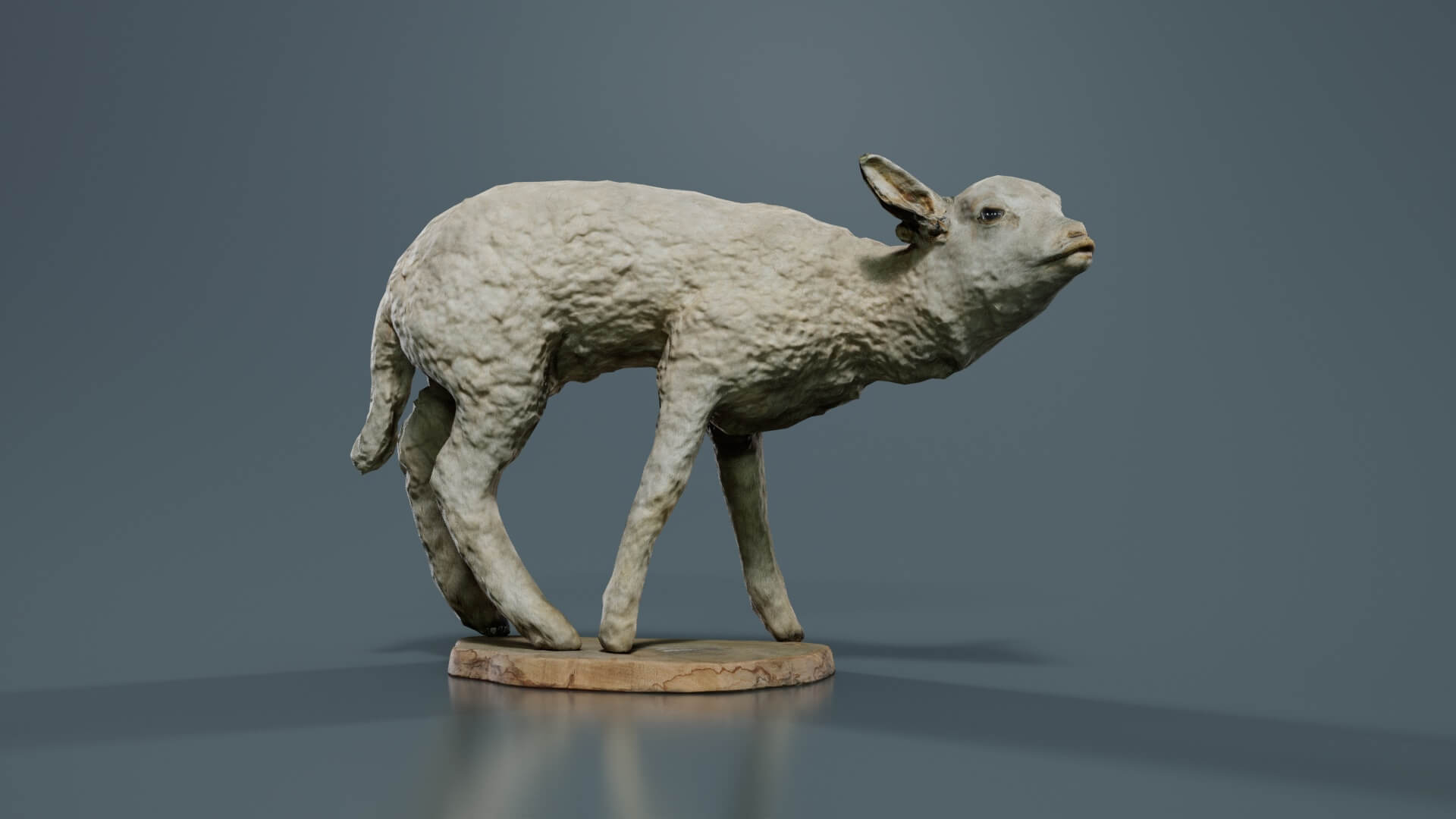 Baby Lamb Mutton - 3D Model by Polygonal Miniatures
