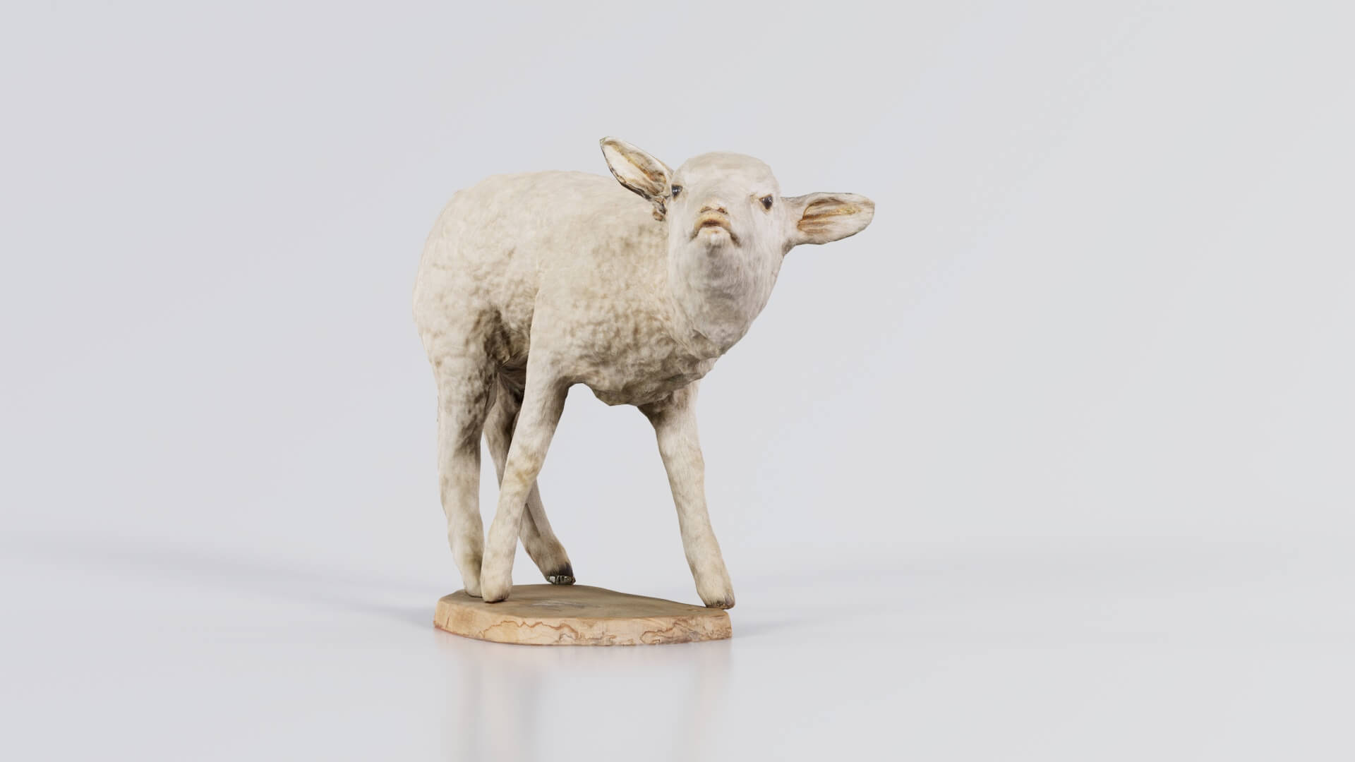 Baby Lamb Mutton - 3D Model by Polygonal Miniatures
