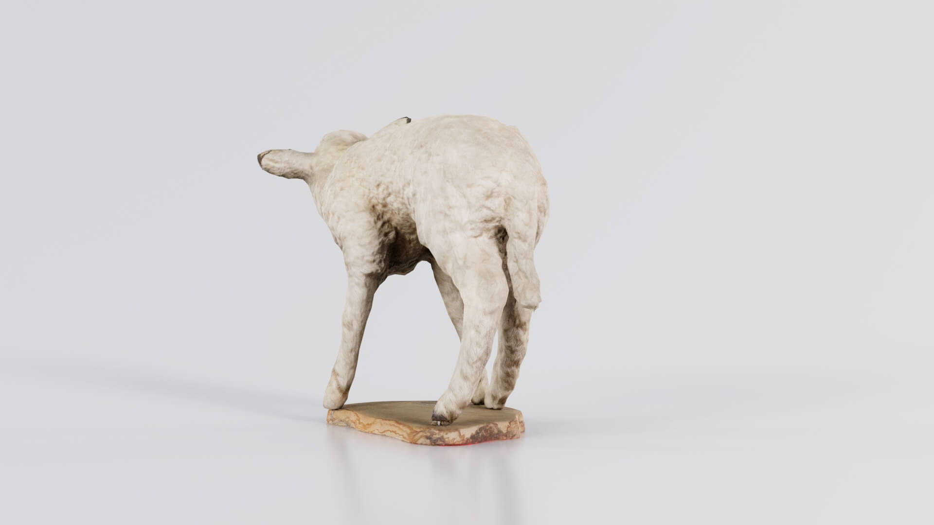 Baby Lamb Mutton - 3D Model by Polygonal Miniatures