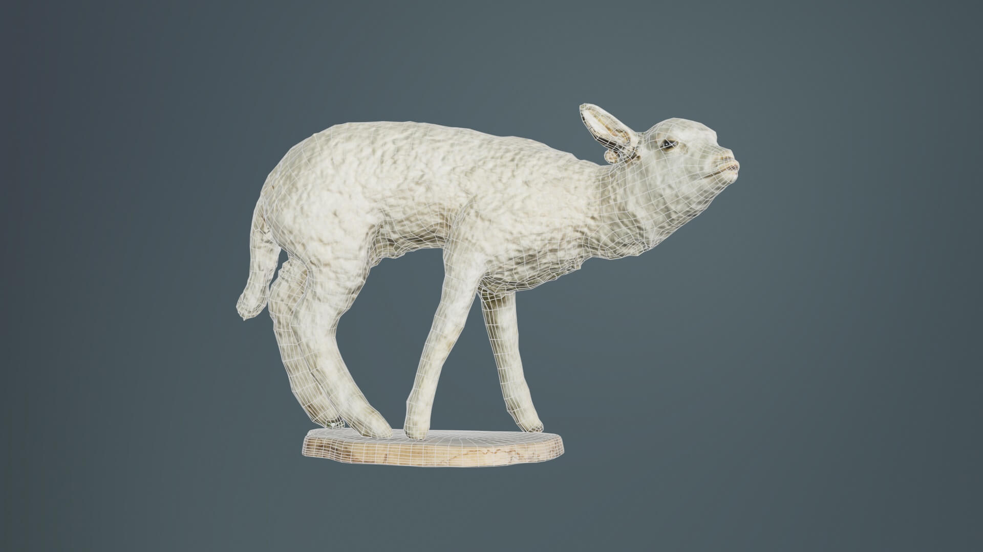 Baby Lamb Mutton - 3D Model by Polygonal Miniatures