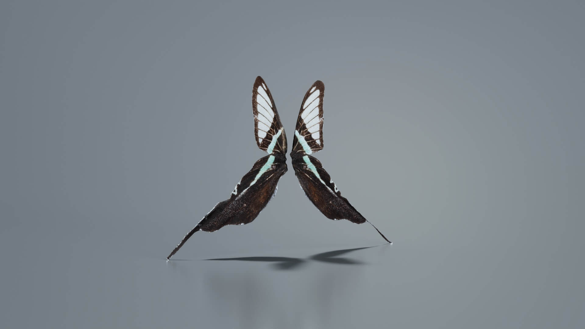Lamproptera Meges Green Dragontail - 3D Model by Polygonal Miniatures