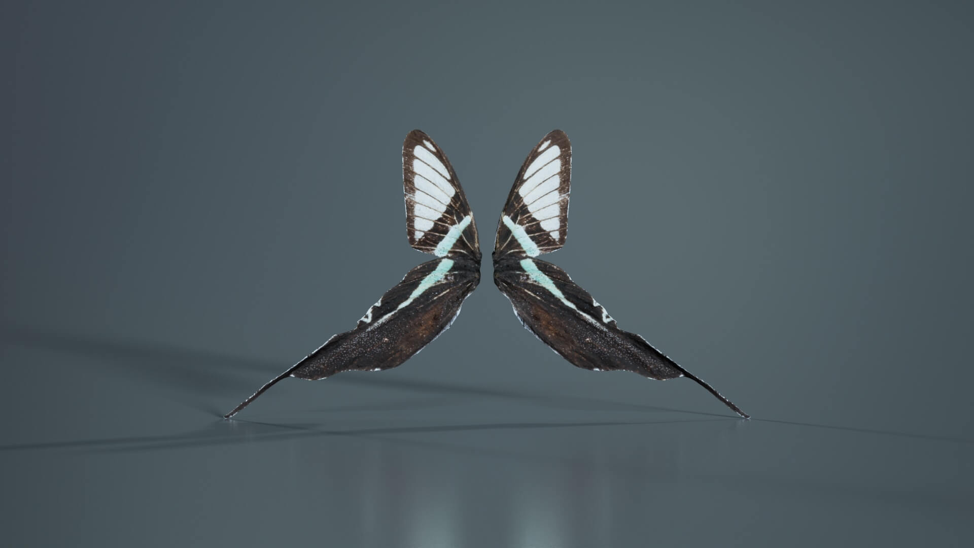 Lamproptera Meges Green Dragontail - 3D Model by Polygonal Miniatures