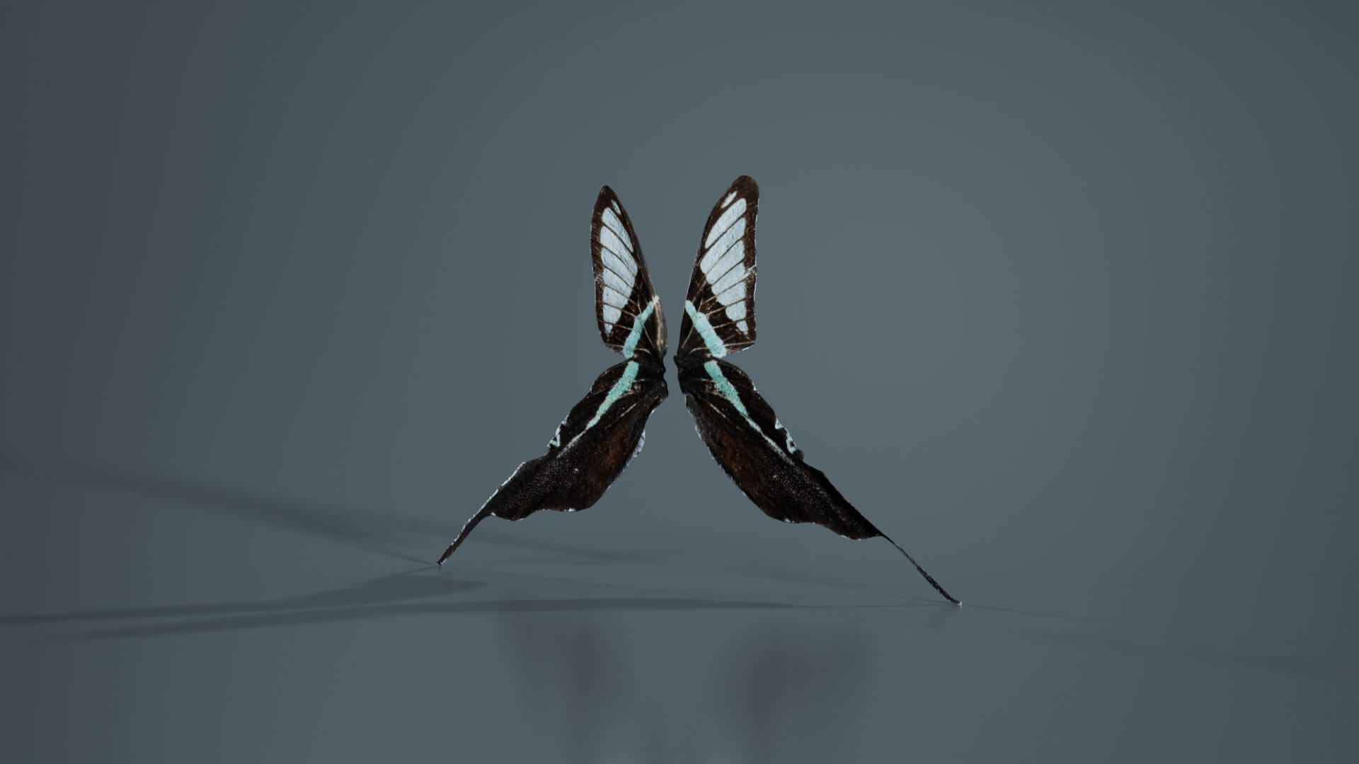 Lamproptera Meges Green Dragontail - 3D Model by Polygonal Miniatures