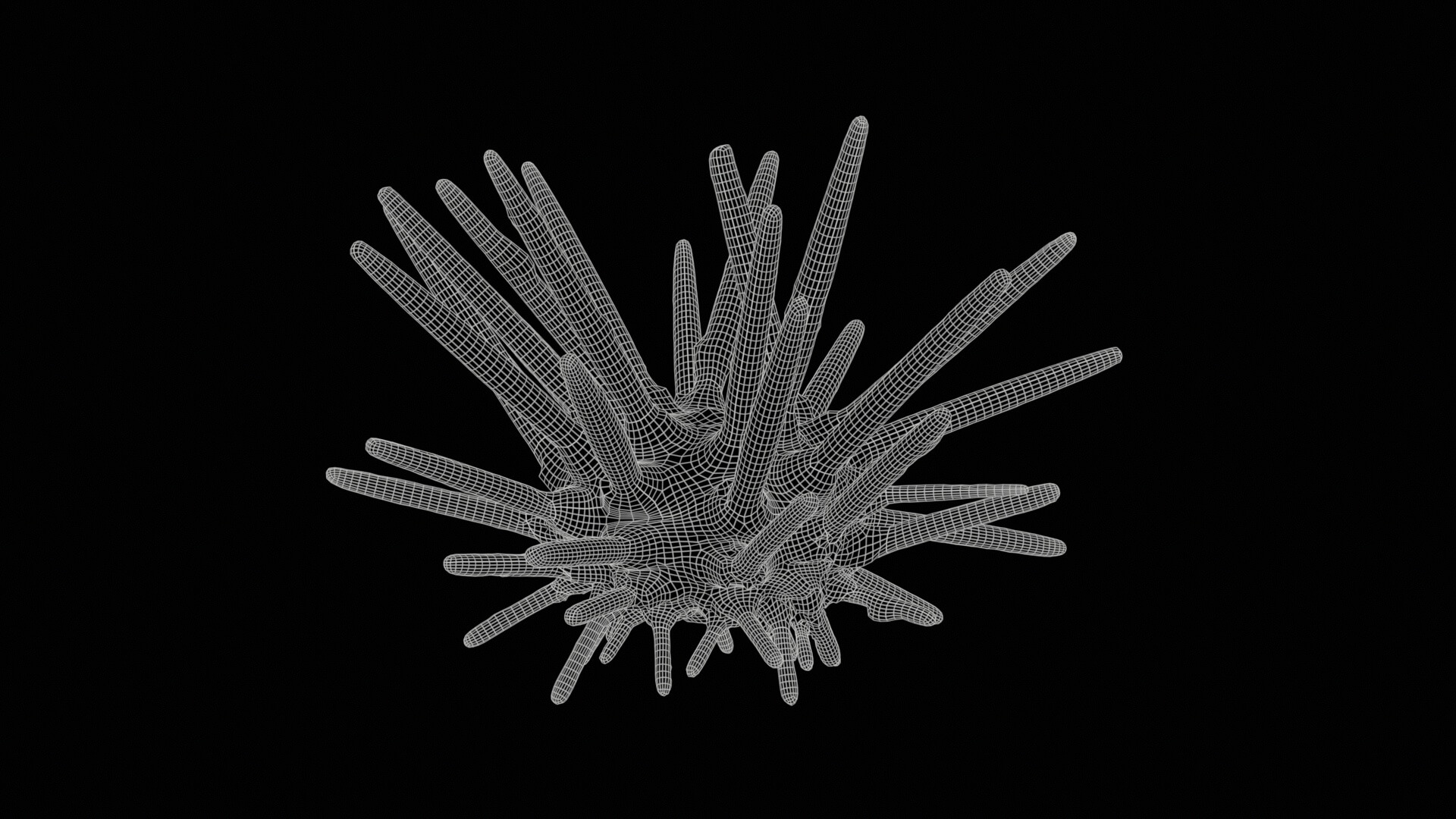 Lance Urchin Phyllacanthus Imperialis - 3D Model by Polygonal Miniatures