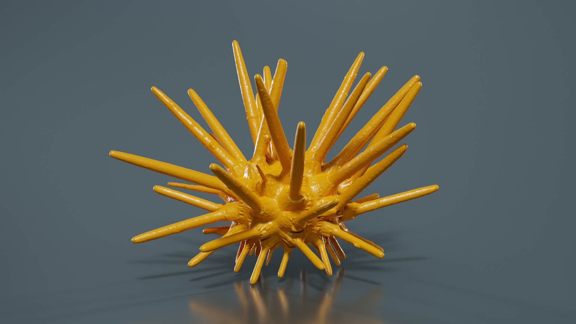 Lance Urchin Phyllacanthus Imperialis - 3D Model by Polygonal Miniatures
