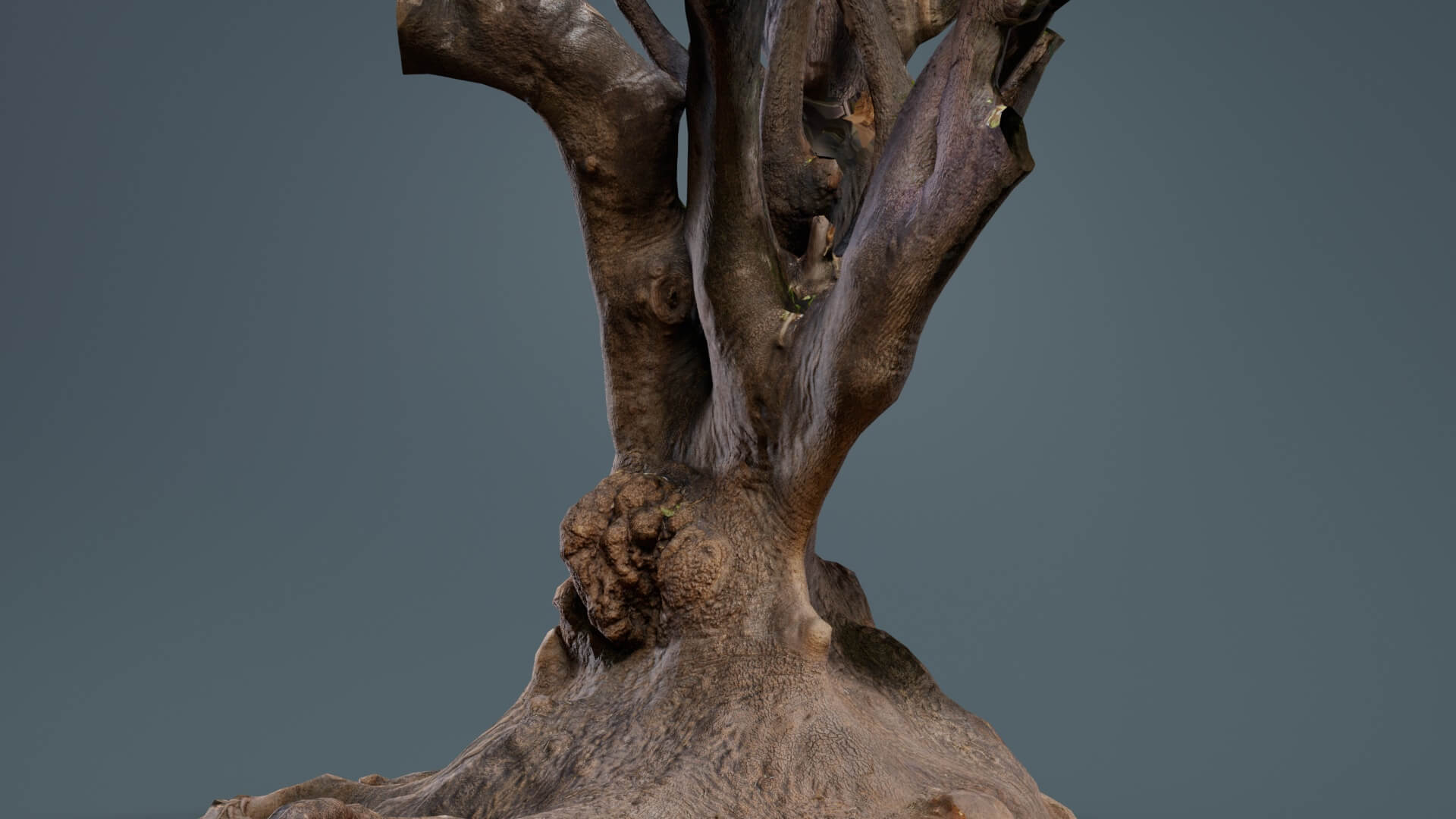 Large Tree - 3D Model by Polygonal Miniatures