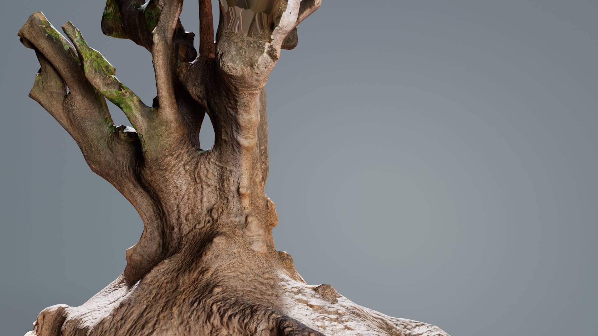 Large Tree - 3D Model by Polygonal Miniatures