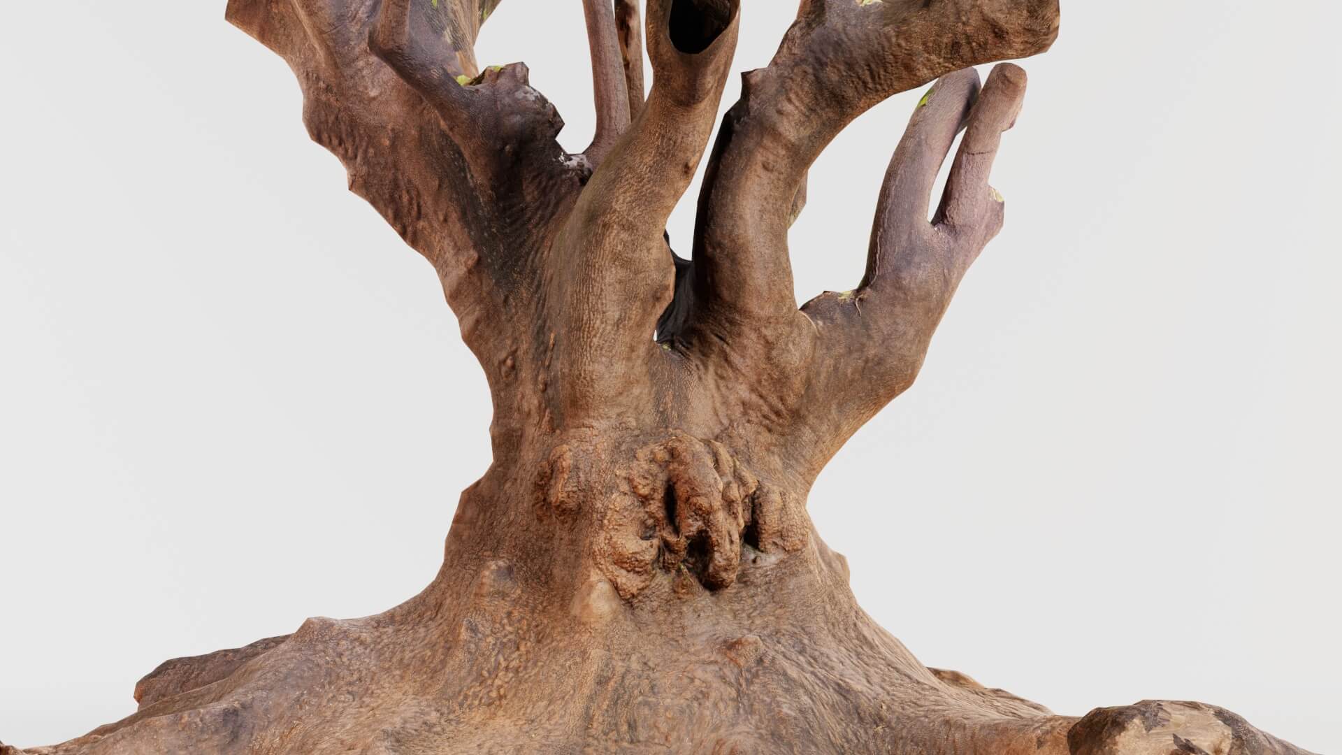 Large Tree - 3D Model by Polygonal Miniatures