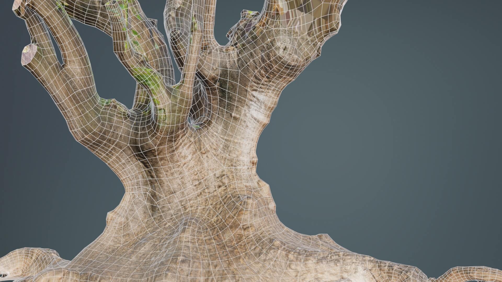 Large Tree - 3D Model by Polygonal Miniatures