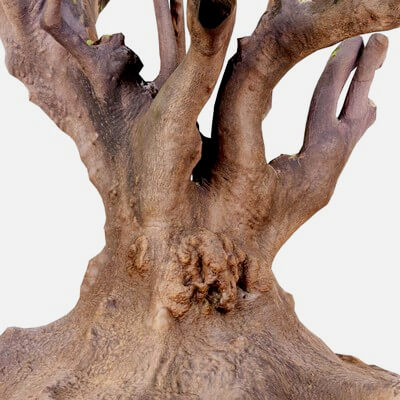 Large Tree - 3D Model by Polygonal Miniatures