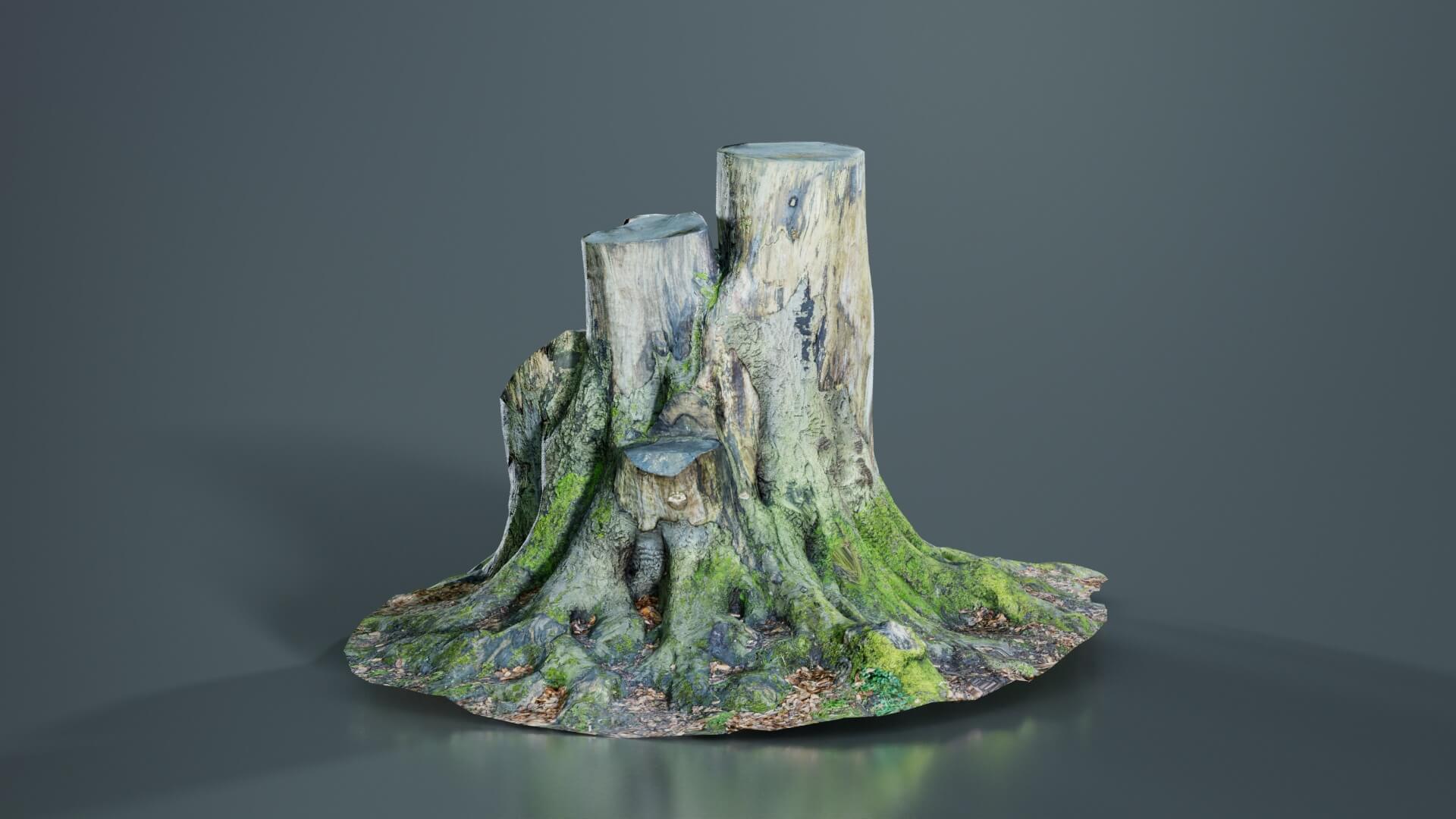 Large Triple Sawed Off Tree Stumps - 3D Model by Polygonal Miniatures