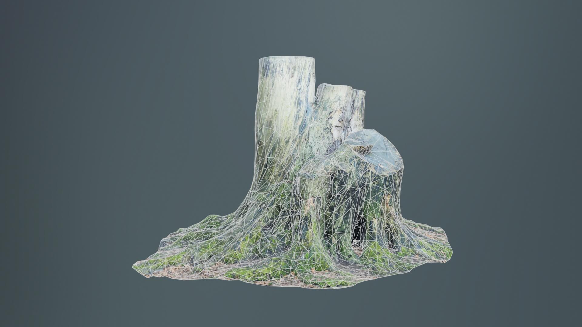 Large Triple Sawed Off Tree Stumps - 3D Model by Polygonal Miniatures
