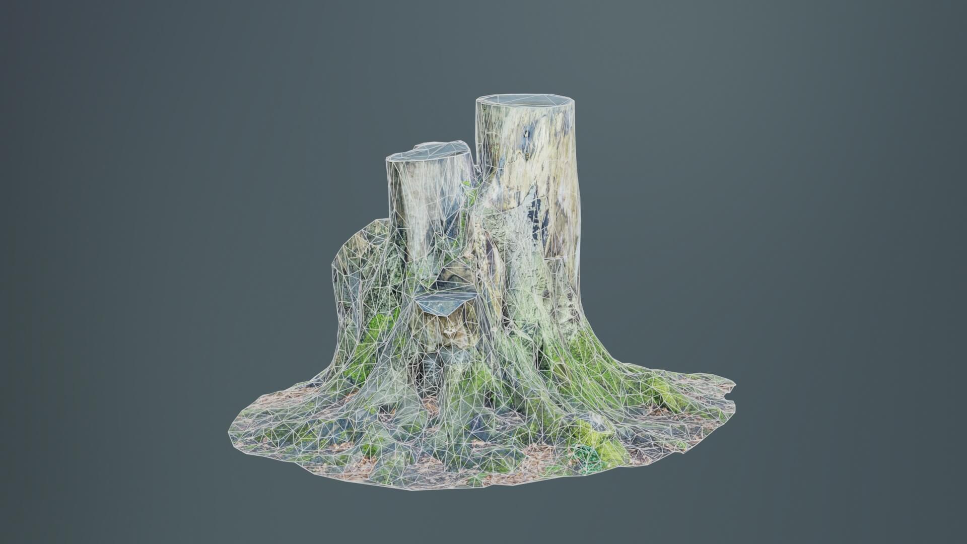 Large Triple Sawed Off Tree Stumps - 3D Model by Polygonal Miniatures