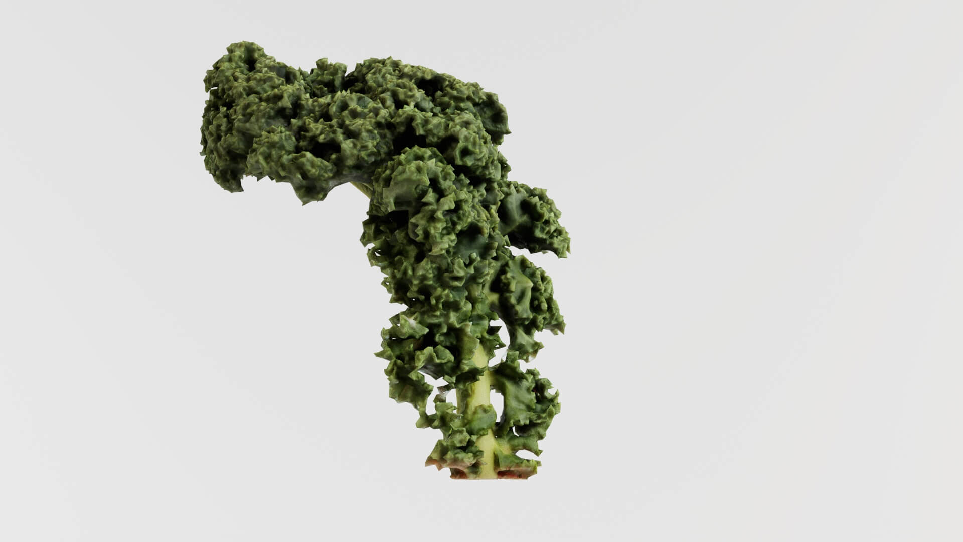 Lettuce 2 - 3D Model by Polygonal Miniatures